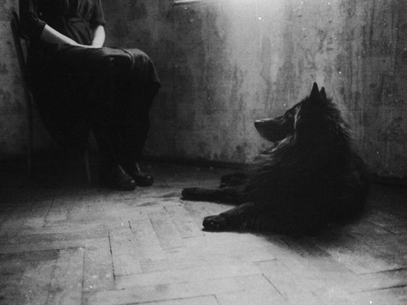 Wolf | Gingerbread House Lit Mag